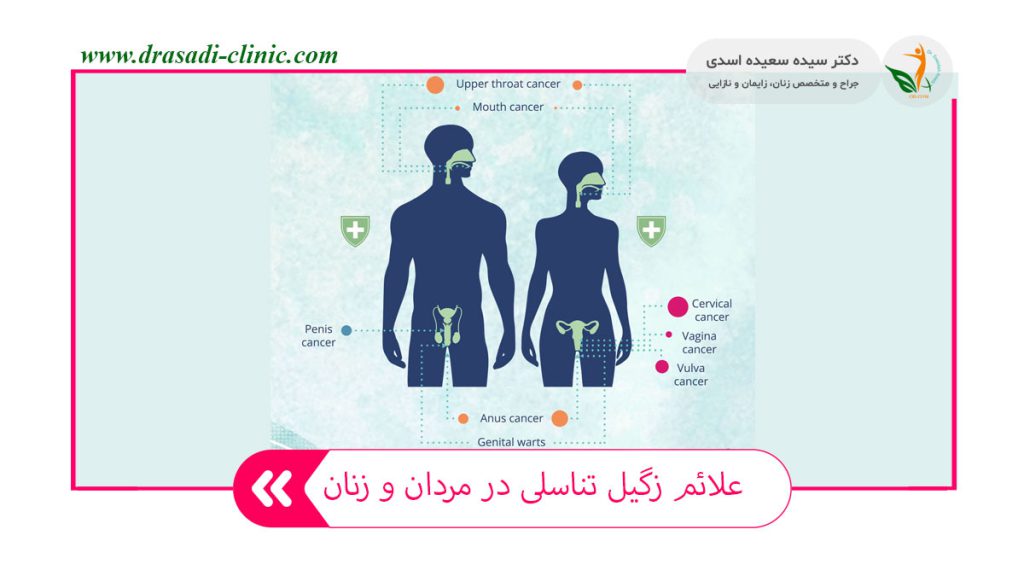 زگیل تناسلی مردان چیست؟ علت، علائم و درمان زگیل دکتر سعیده اسدی